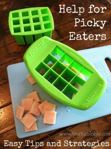 Picky Eater Kids- FunBites Review - Your Kid's Table