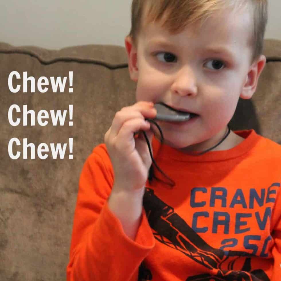 Everything Oral Sensory Processing: Activities and Input Ideas