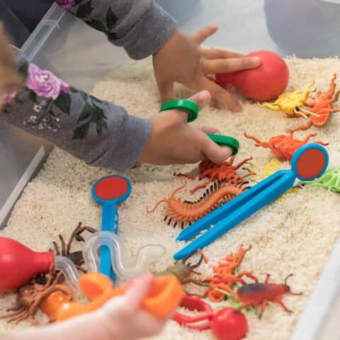 Create a Sensory Diet with this Template: Free PDF