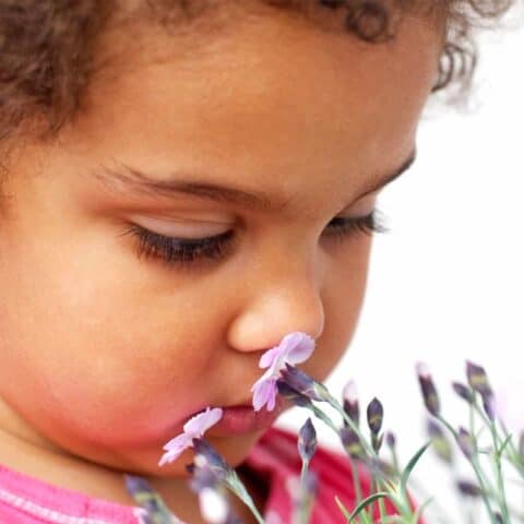 The Most Awesome Smell Sensory Activities You Can Find! - Your Kid's Table