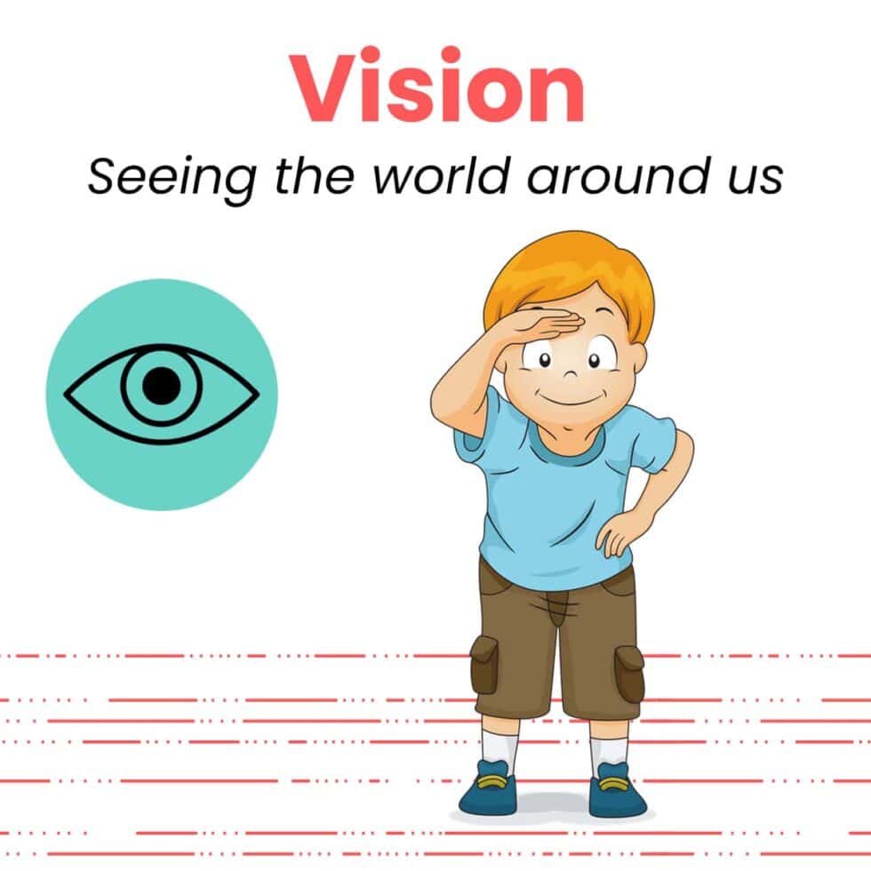 The 8 Senses Explained: Unraveling the Mystery - Your Kid's Table