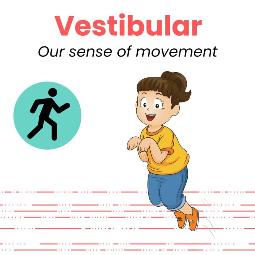 The 8 Senses Explained: Unraveling the Mystery - Your Kid's Table