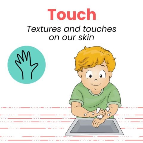 The 8 Senses Explained: Unraveling the Mystery - Your Kid's Table