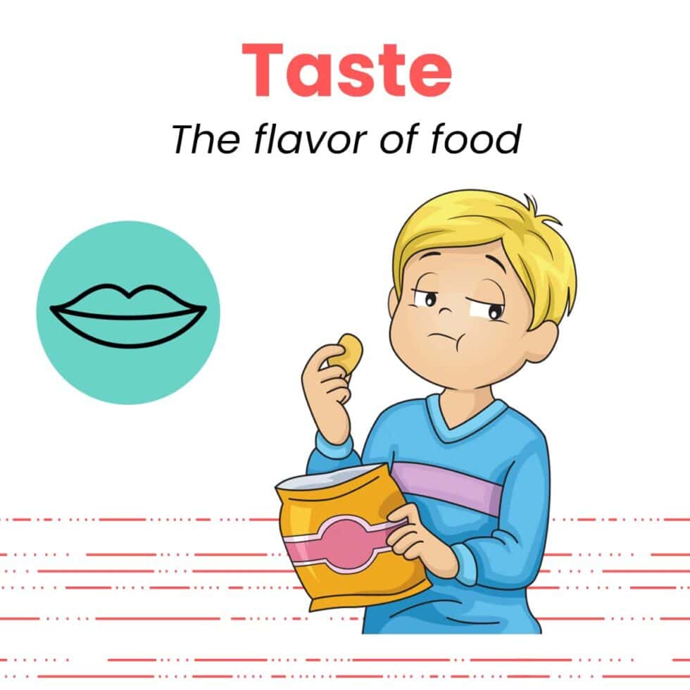 The 8 Senses Explained: Unraveling the Mystery - Your Kid's Table