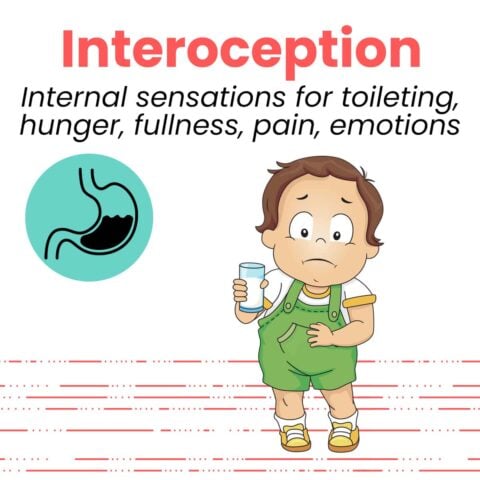 The 8 Senses Explained: Unraveling the Mystery - Your Kid's Table