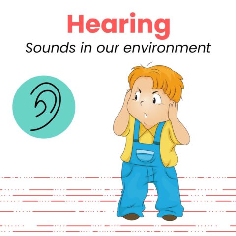 The 8 Senses Explained: Unraveling the Mystery - Your Kid's Table